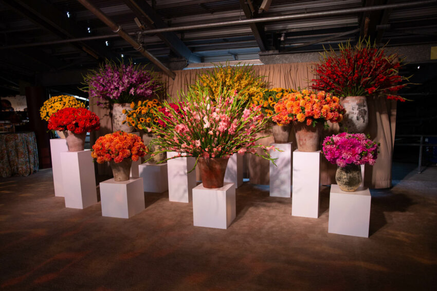 Boston College, Pops on the Heights | Rafanelli Events